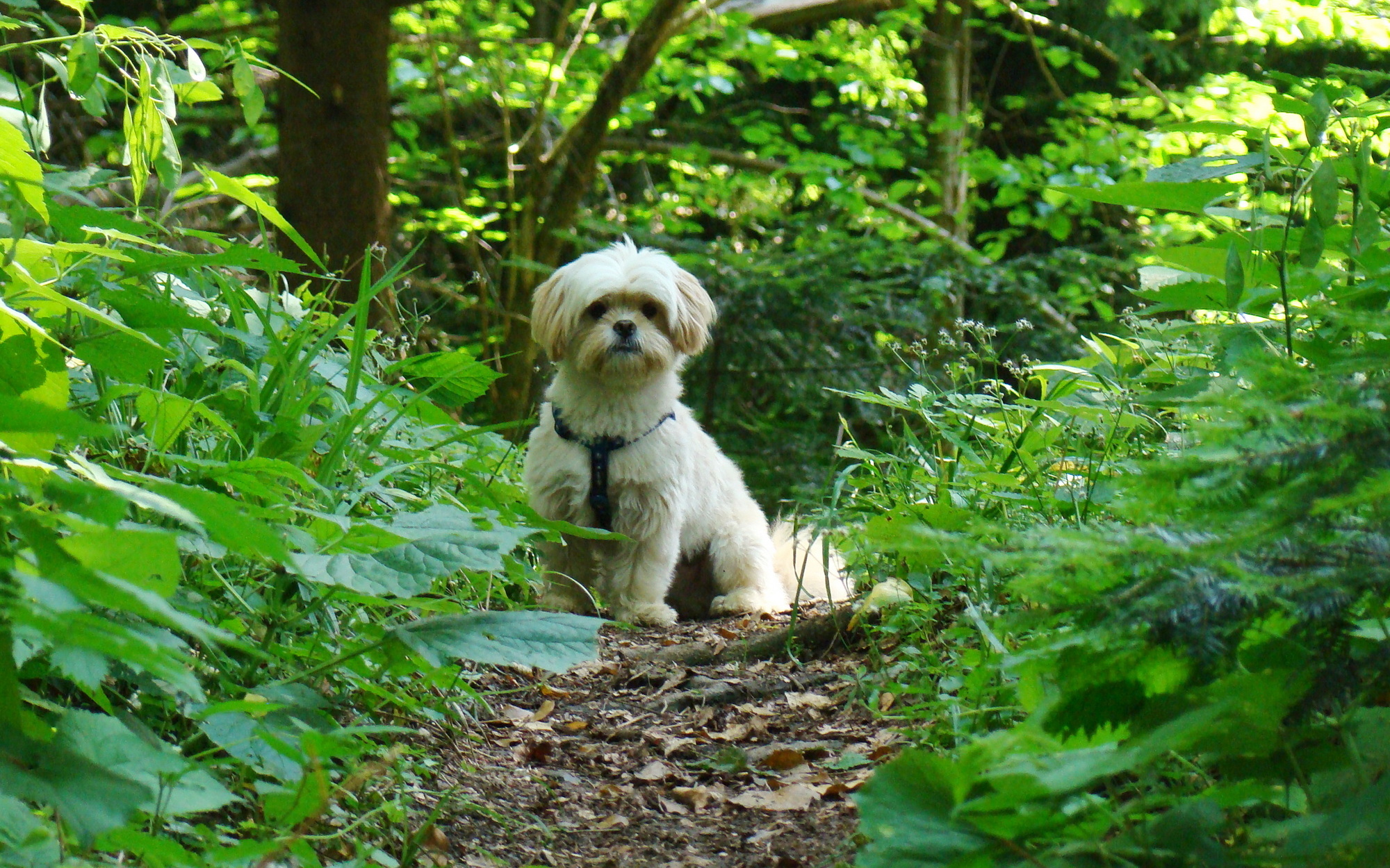 Favorite environment – ProSportService